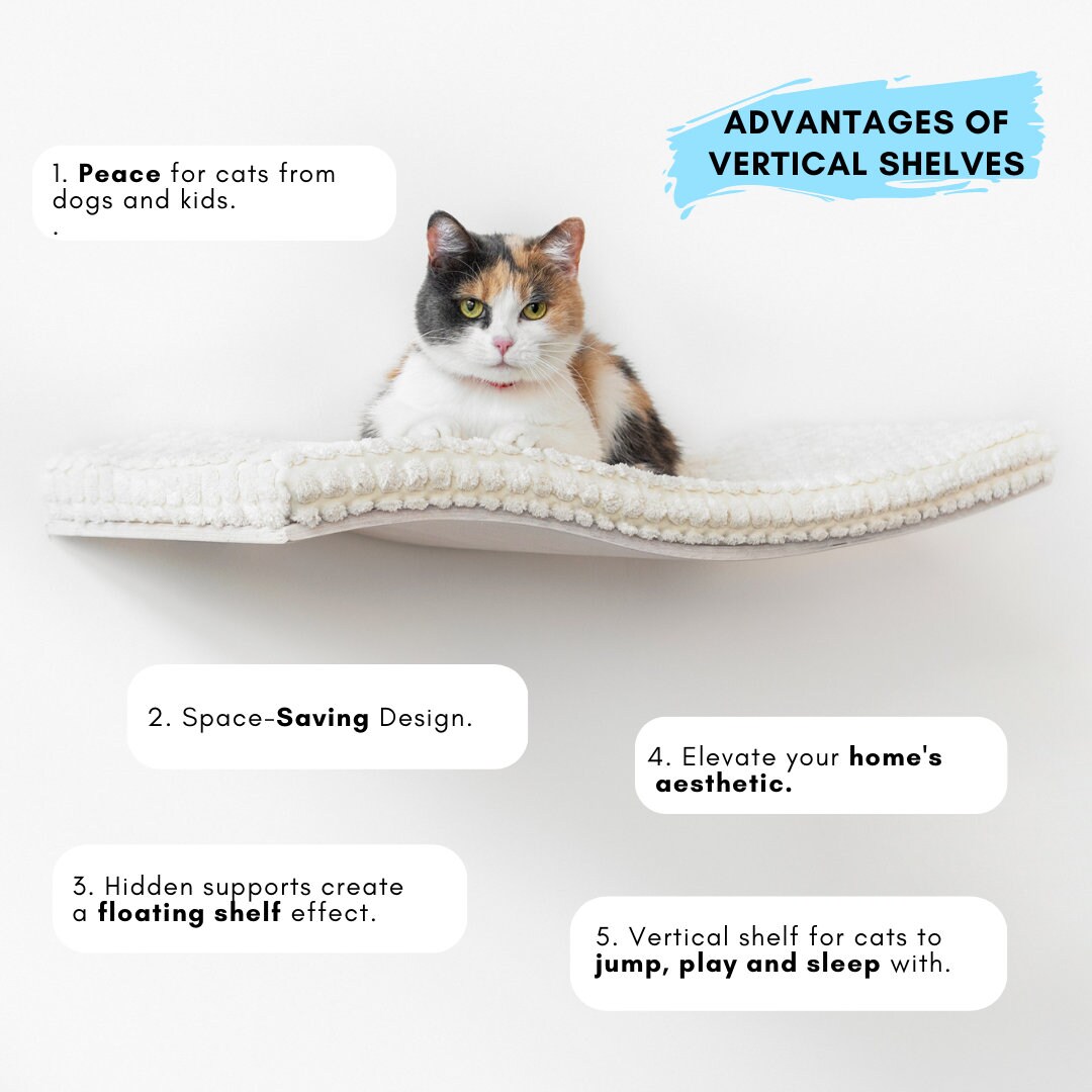 Beech Wood Cat Wall Shelves: Modern Floating Cat Bed & Steps - Etsy
