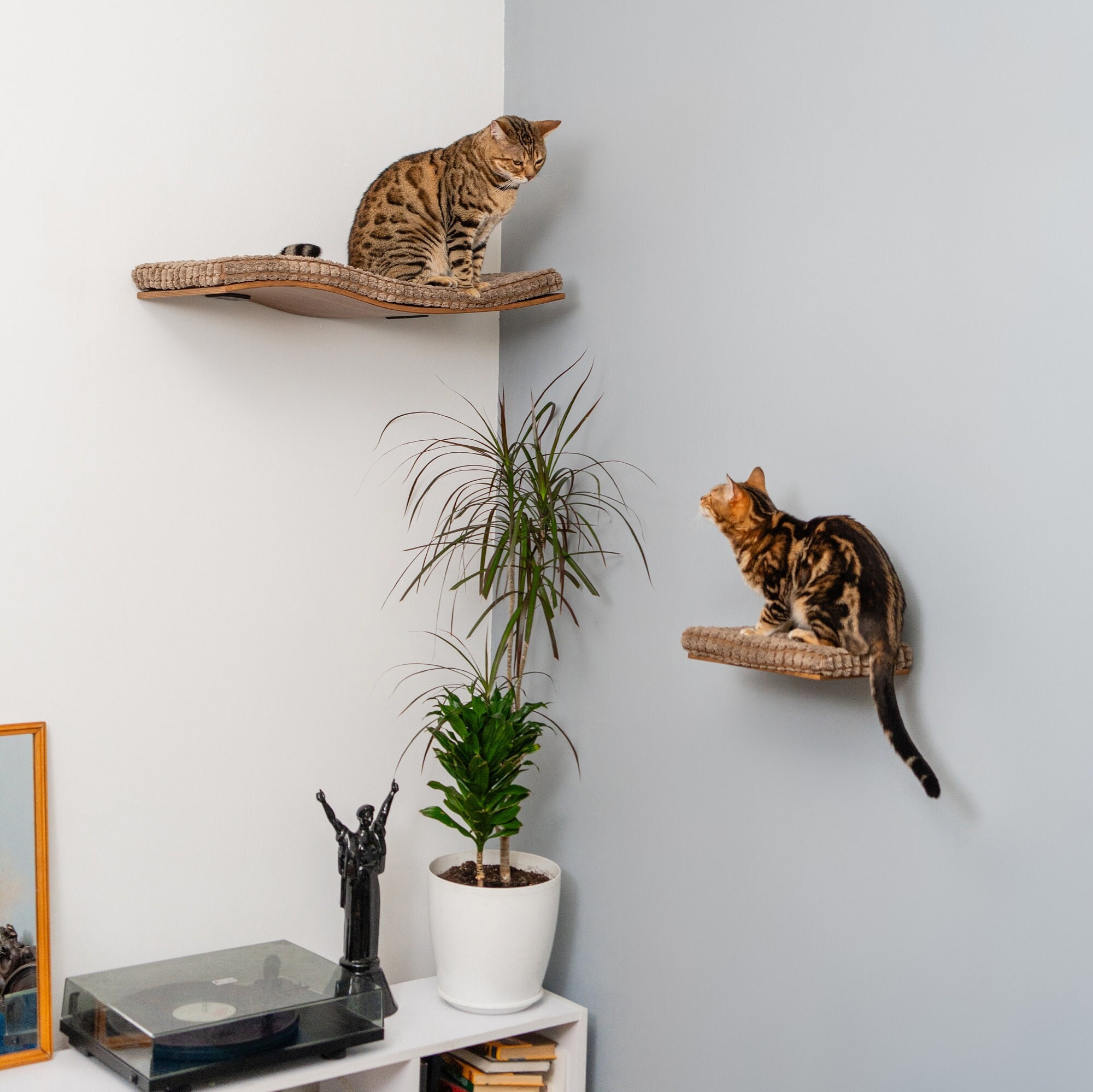 Wall Mounted Cat Shelves: Beech Wood Cat Perch & Steps - Etsy