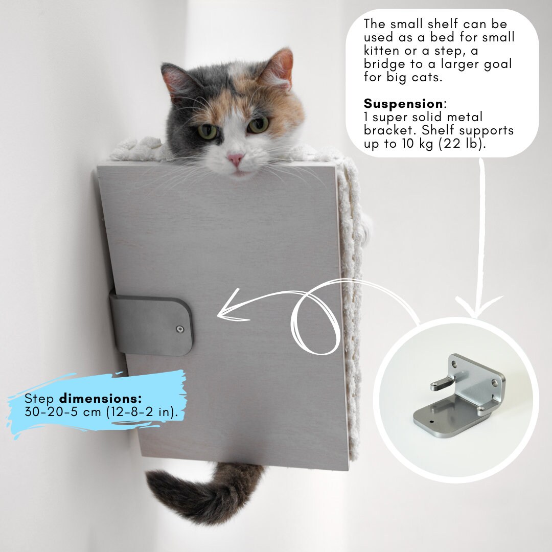 Modern Beech Cat Wall Set: Bed & Step - Climbing Furniture - Etsy