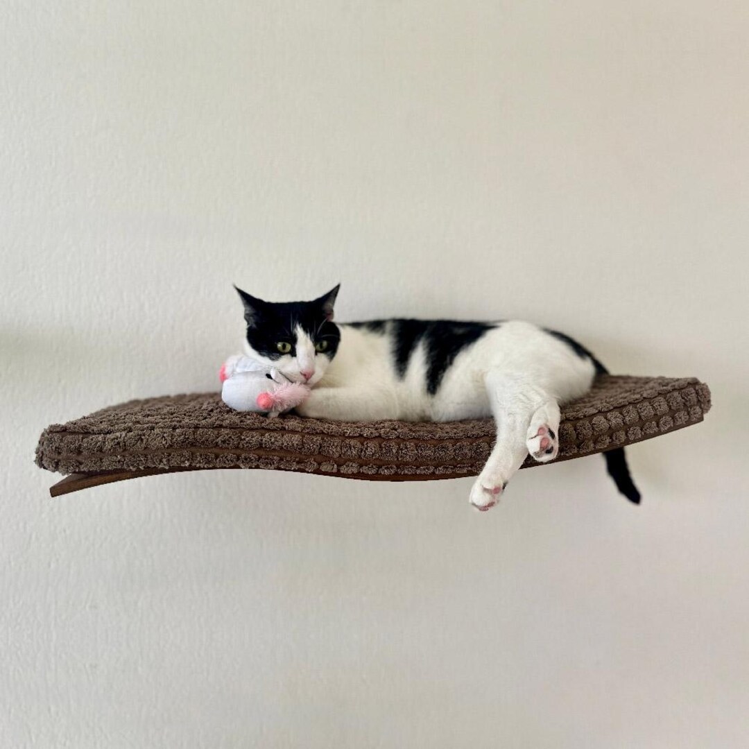 Handmade Beech Wood Cat Shelf: Wall Mounted Cat Bed With Velour Cushion ...