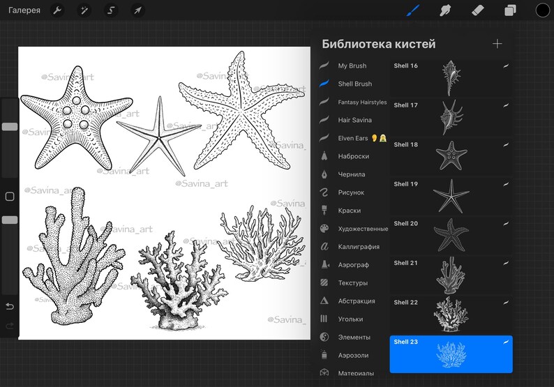23 Seashells Procreate Stamps Seashells Brushes for Procreate Fashion ...