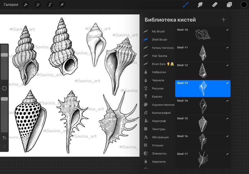 23 Seashells Procreate Stamps Seashells Brushes for Procreate Fashion ...