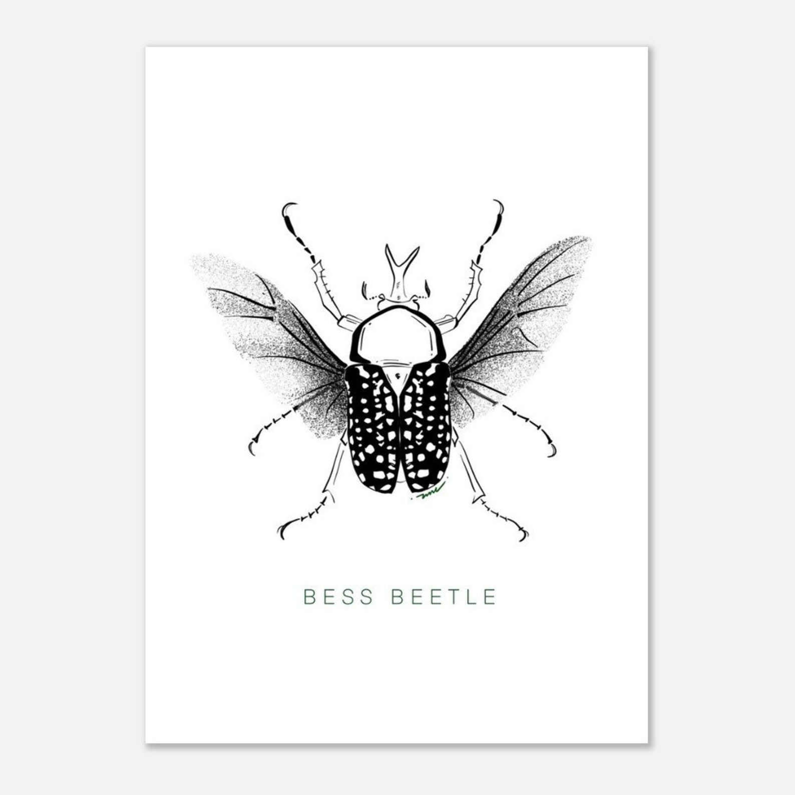 Bess Beetle Digital Illustration Print Black White Insect Wall Art ...