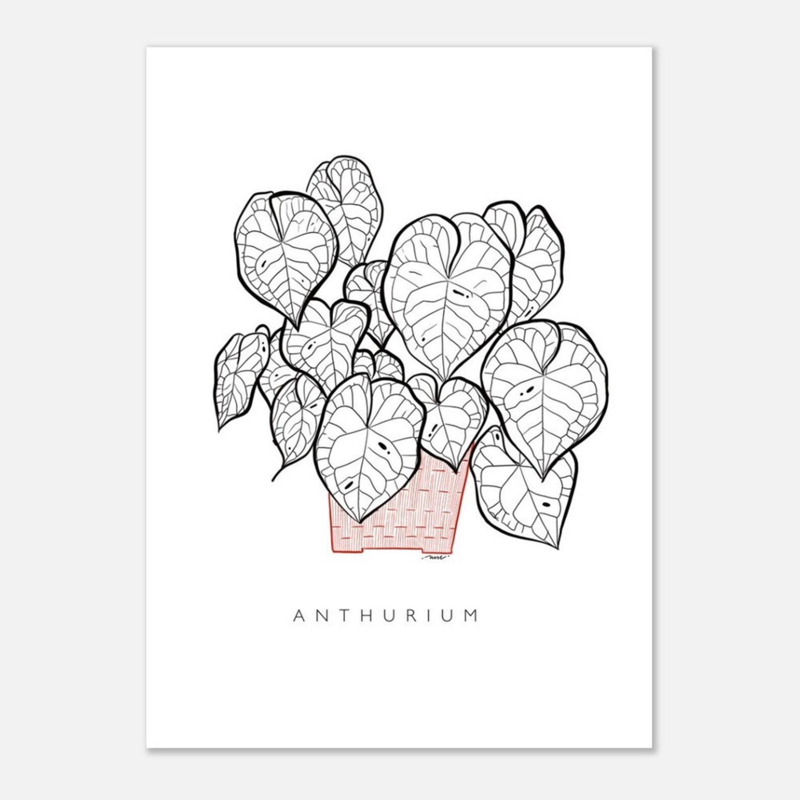 Anthurium Potted Plant Postcard-sized Art Print Detailed Digital ...
