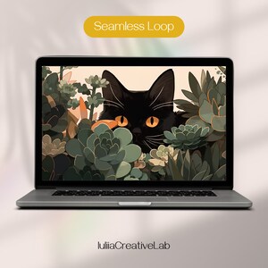 Black Cat and Succulents Animated Wallpaper, 4K Lively Desktop ...