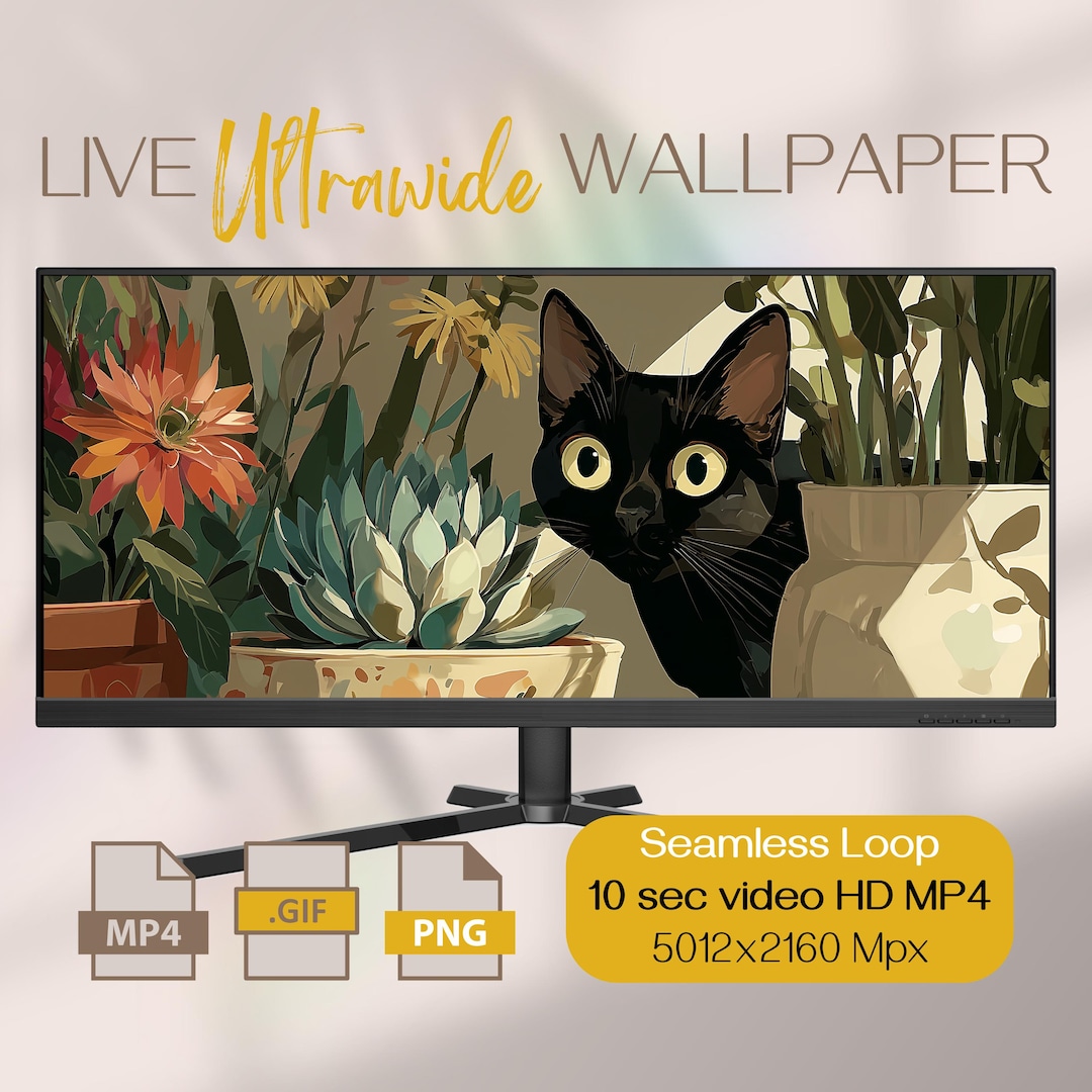 Ultrawide Live Wallpaper, Curious Black Cat & Blooming Succulents ...