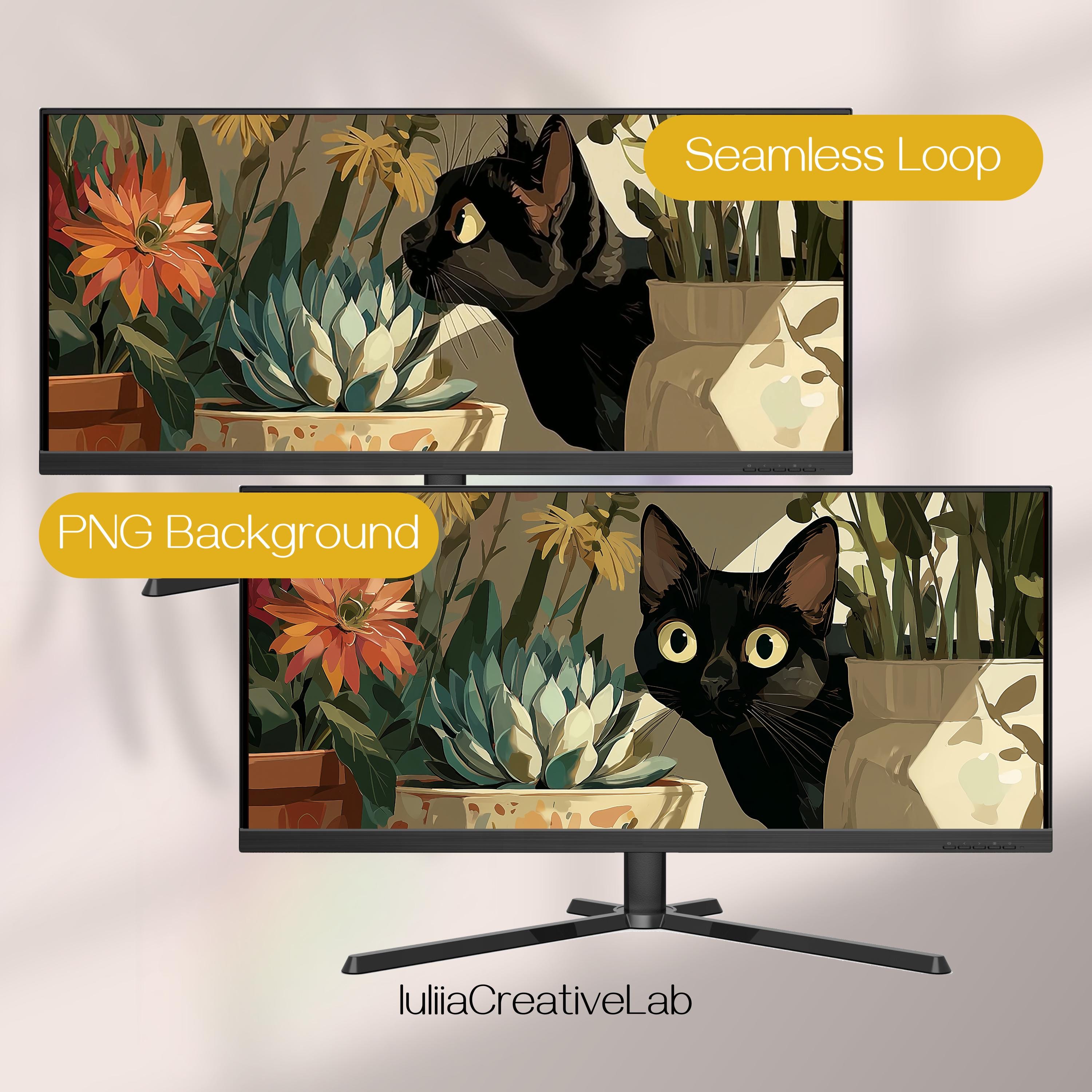 Ultrawide Live Wallpaper, Curious Black Cat & Blooming Succulents ...