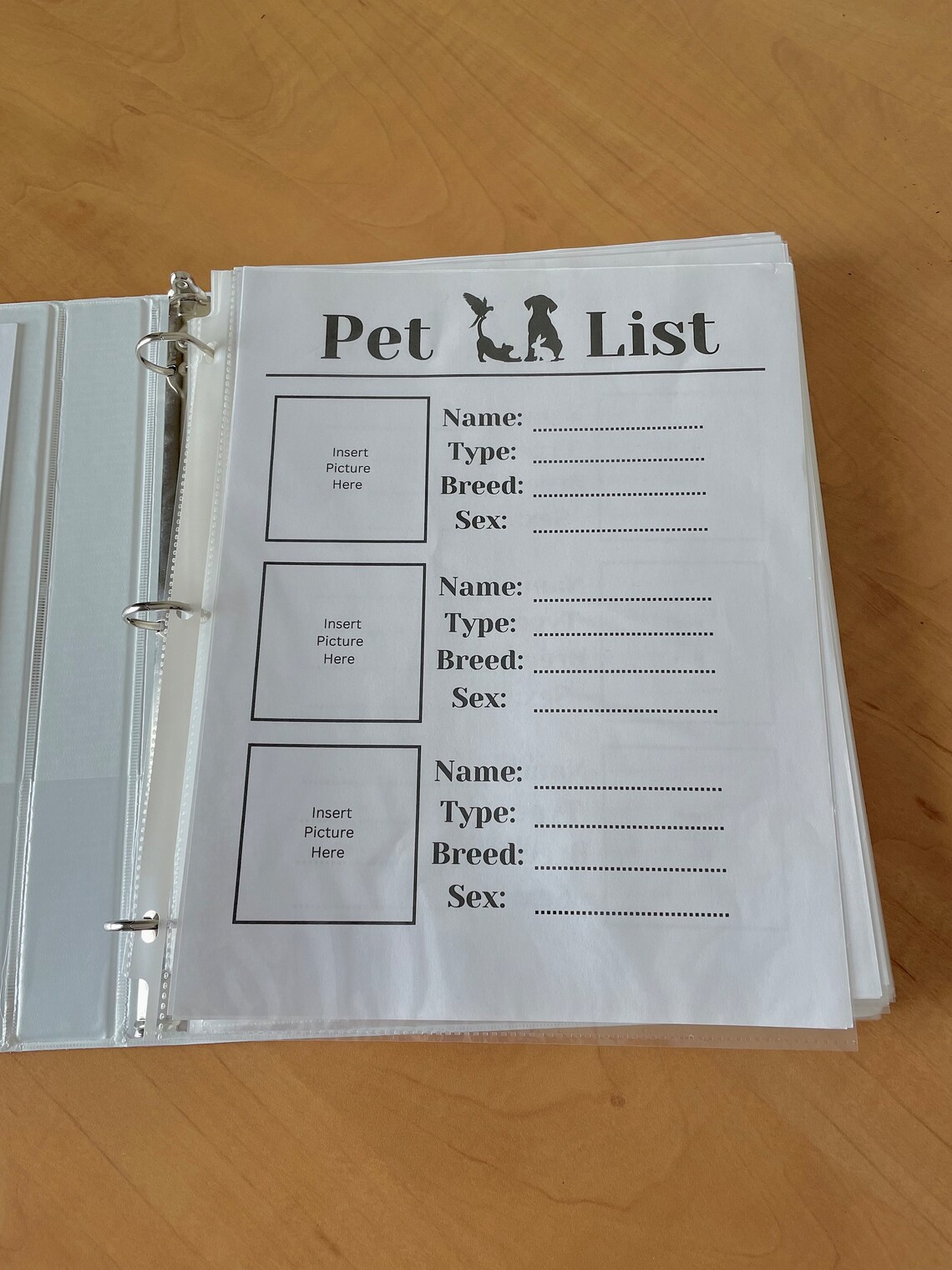 Pet File Organizer Pack - Etsy