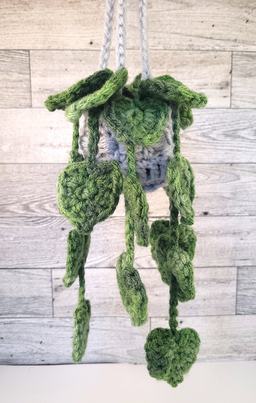 Mini Crochet Hanging Pothos - Etsy