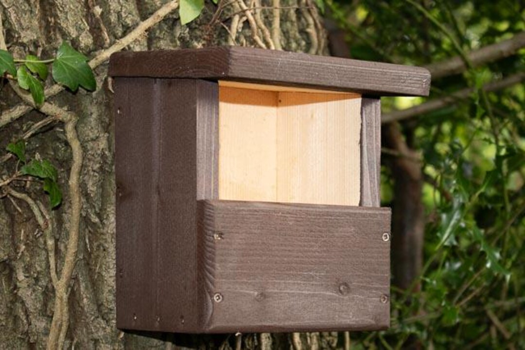 Open Fronted Bird Box Nest Box - Etsy UK