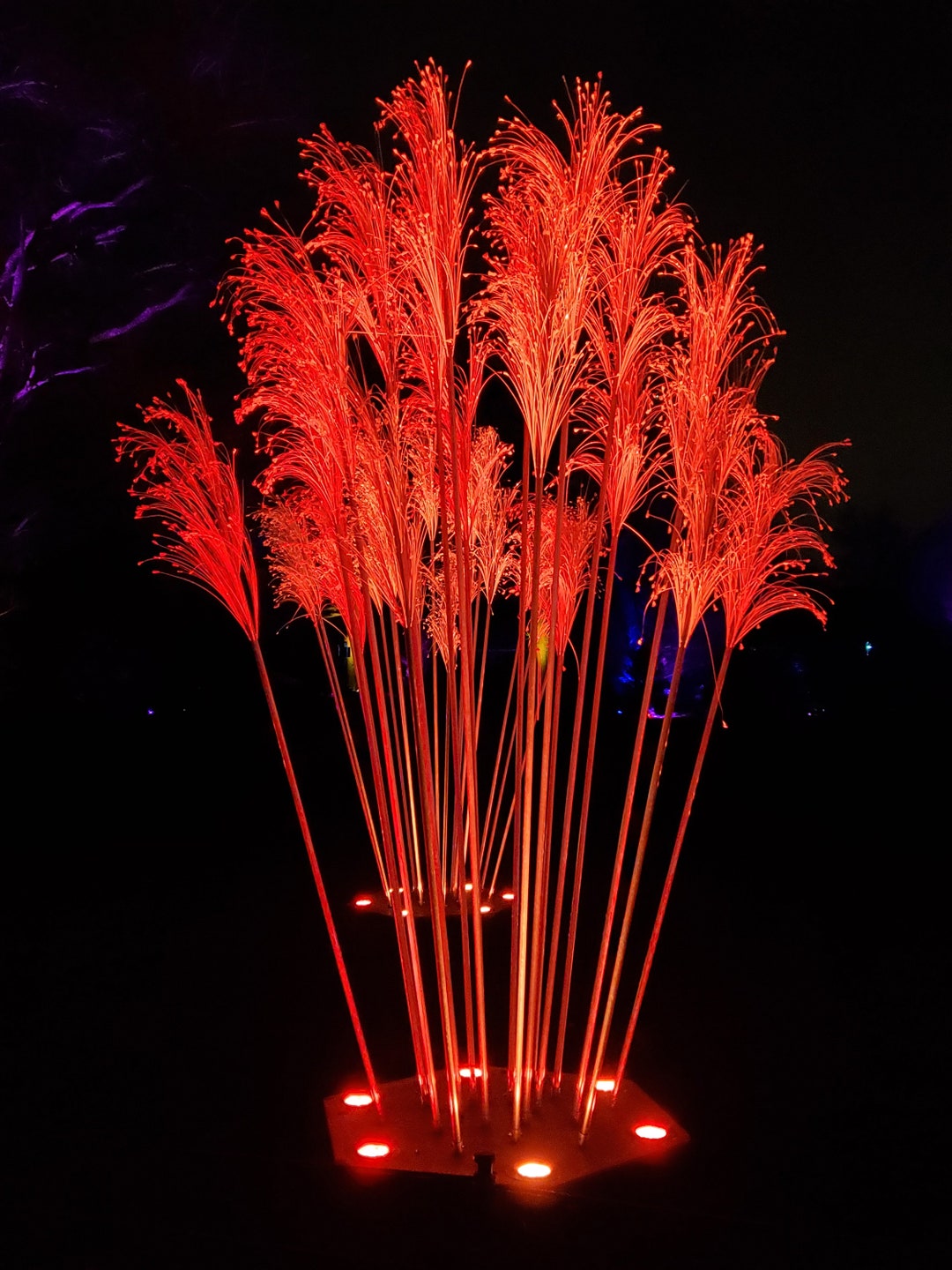 Electronic Flowers - Brooklyn Botanic Garden- Framed Art Photo - Etsy