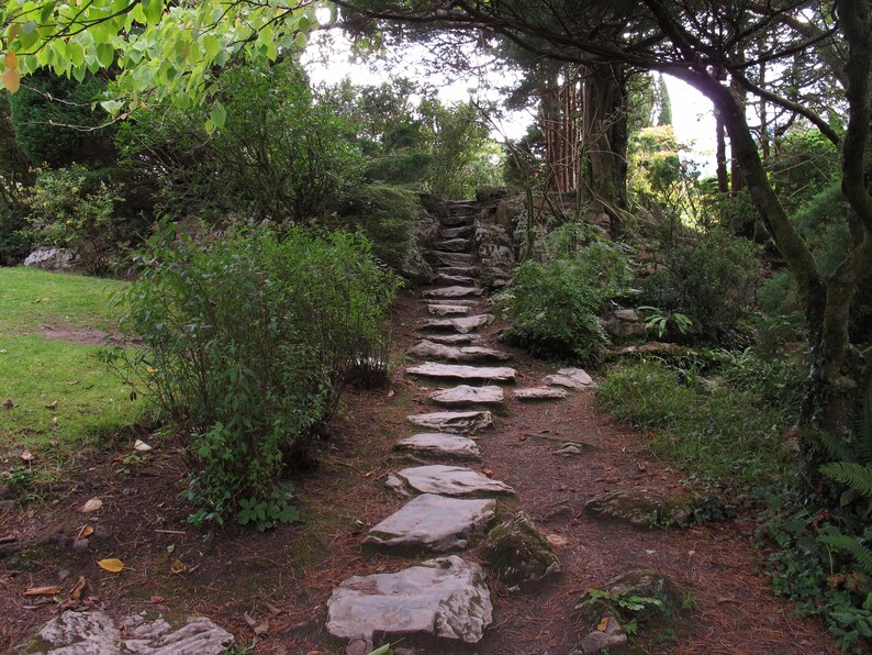 An Irish Path - Framed Art Photo - Etsy