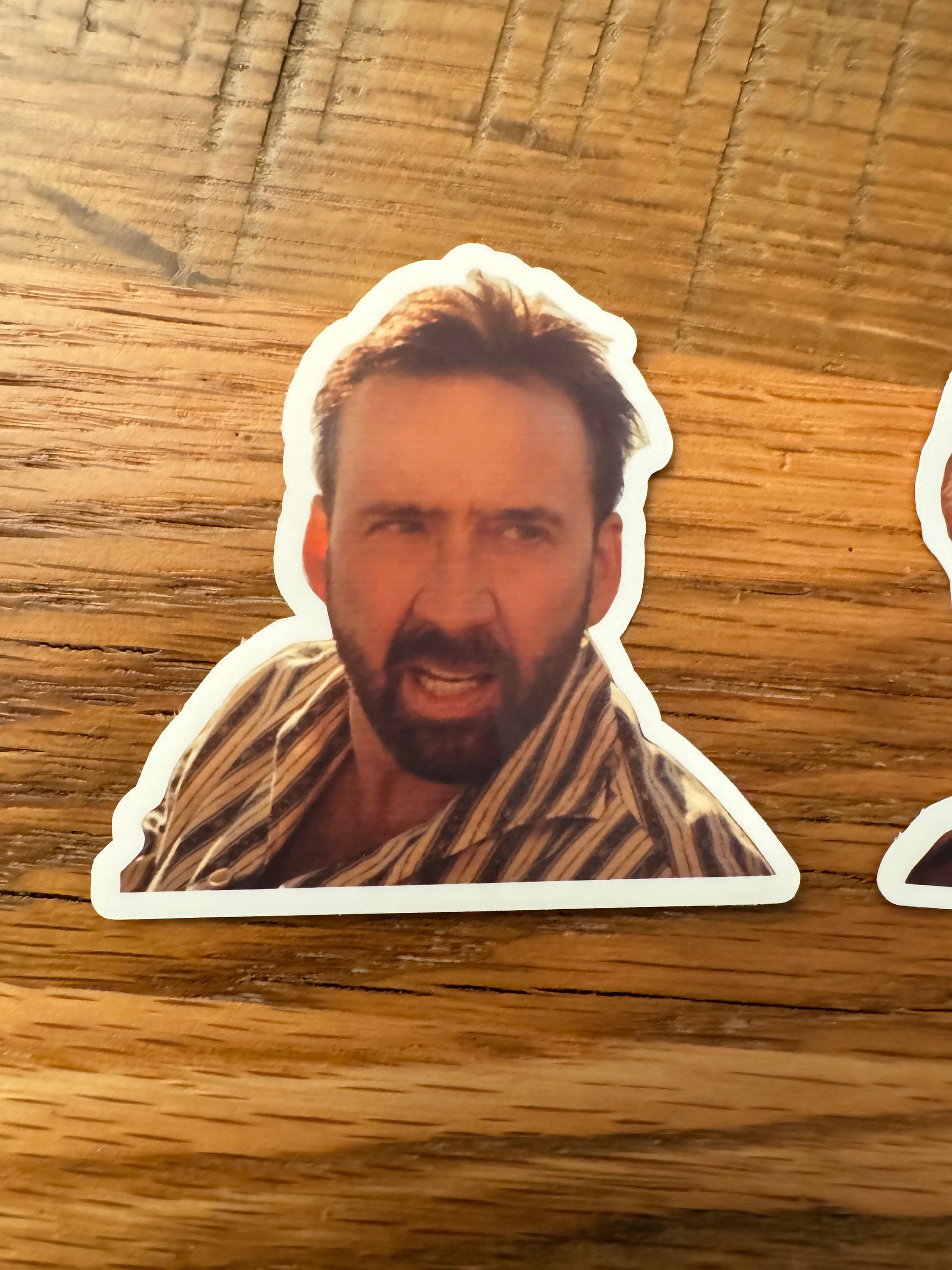 Tiktok Pedro Pascal and Nic Cage Meme Sticker Set Custom - Etsy