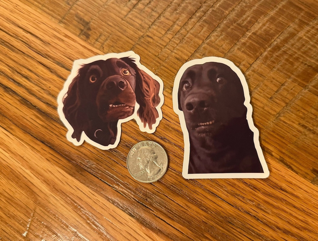 Tiktok Scared Dogs Sticker Set - Custom Made - Etsy