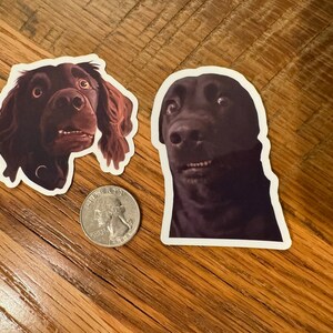 Tiktok Scared Dogs Sticker Set - Custom Made - Etsy