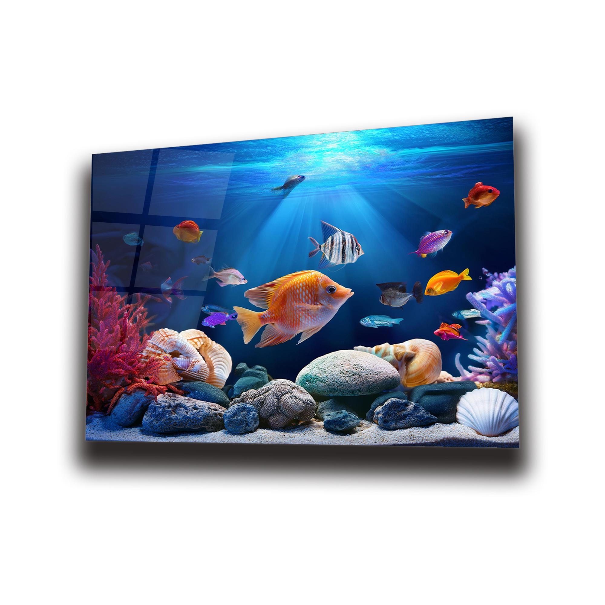 Aquarium Fish Wall Art , Tempered Glass Wall Art , Glass Printing ...