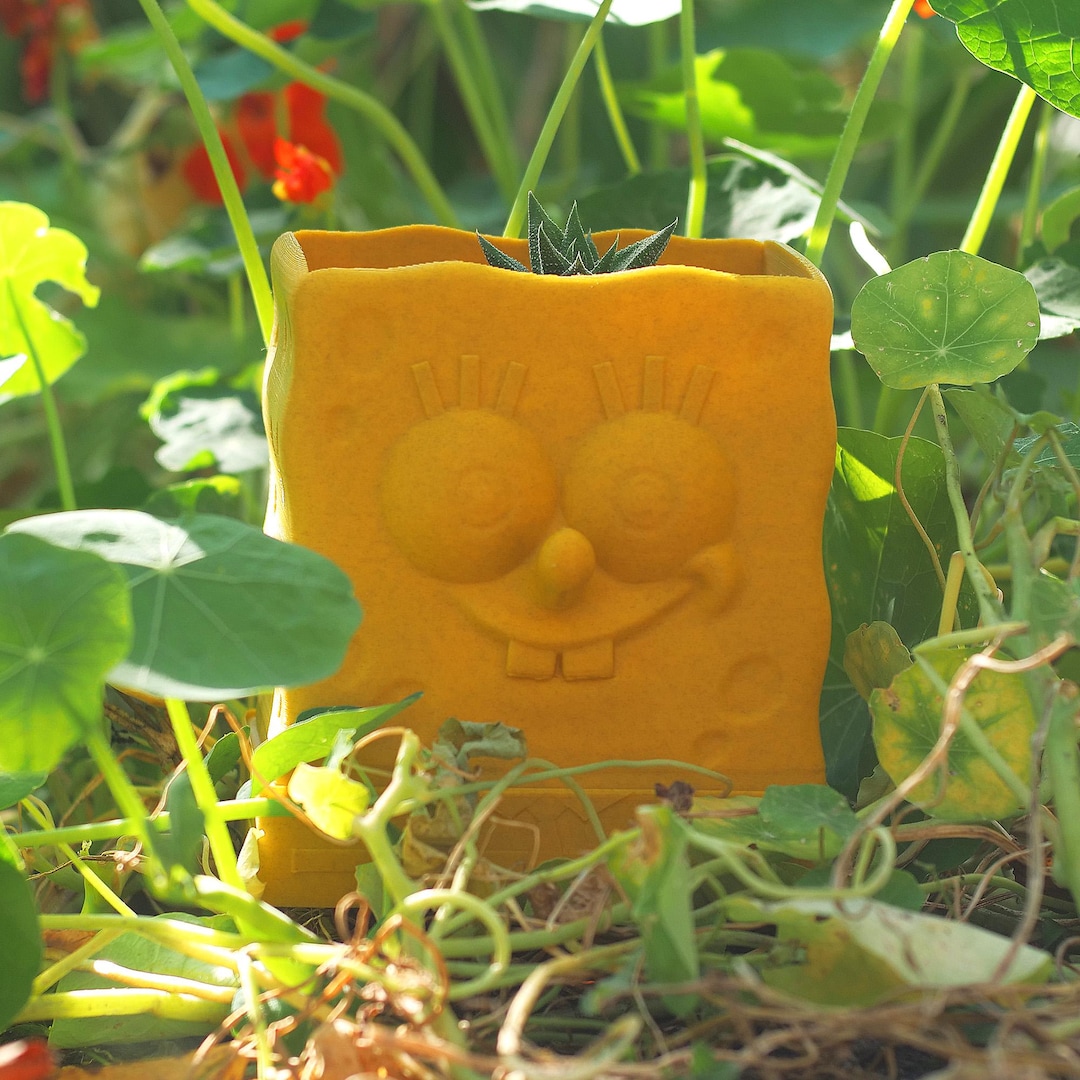 Spongebob Planter, Funny Vase Pot for Any Plant From Eco-friendly ...