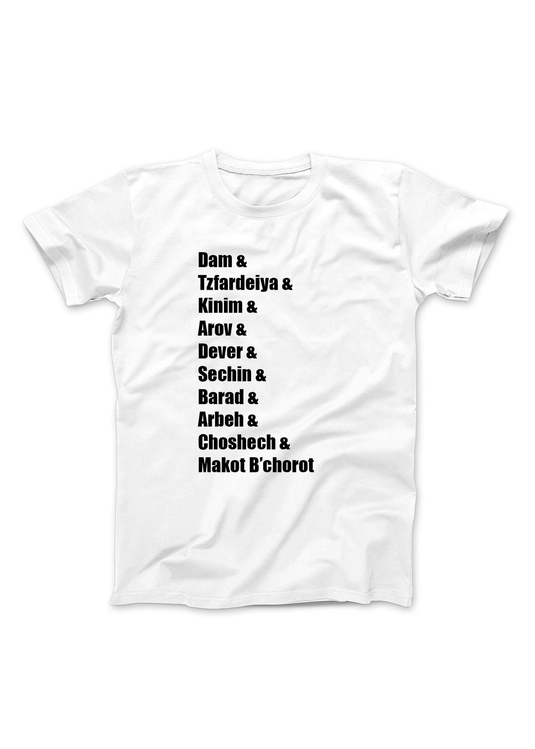 Ten Plagues Hebrew Passover Pesach T-shirt - Etsy
