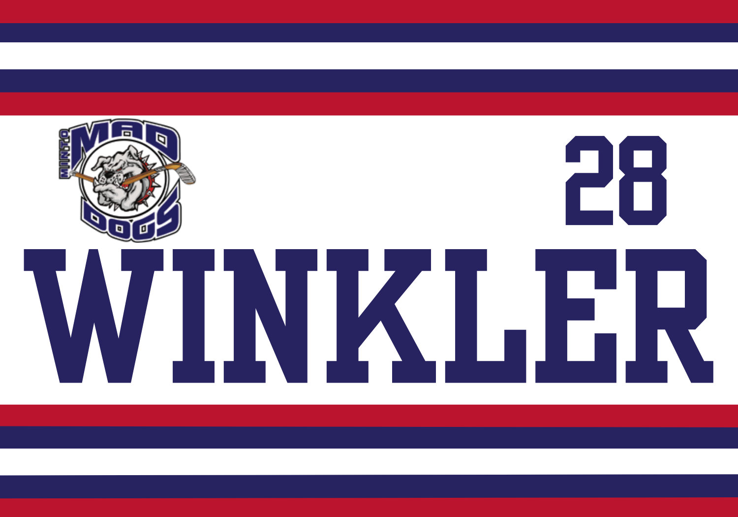 Hockey Bag Window Insert - CUSTOM - Etsy