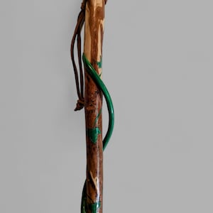 Hand Painted Walking Stick- Vine With Growing Ivy - Etsy