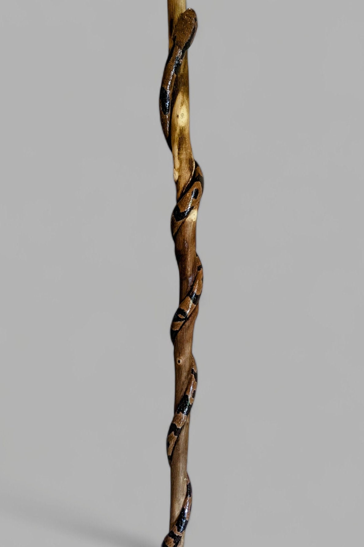 Cottonmouth Snake Walking Stick - Etsy