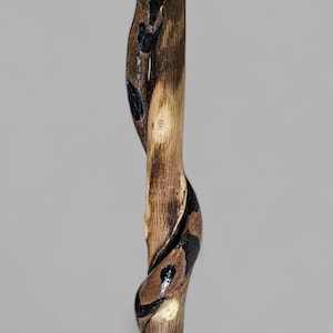 Cottonmouth Snake Walking Stick - Etsy