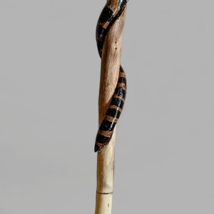 Cottonmouth Snake Walking Stick - Etsy
