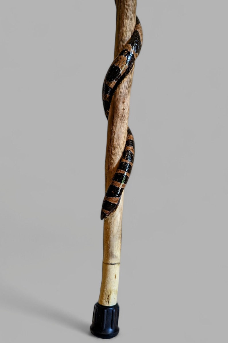 Cottonmouth Snake Walking Stick - Etsy
