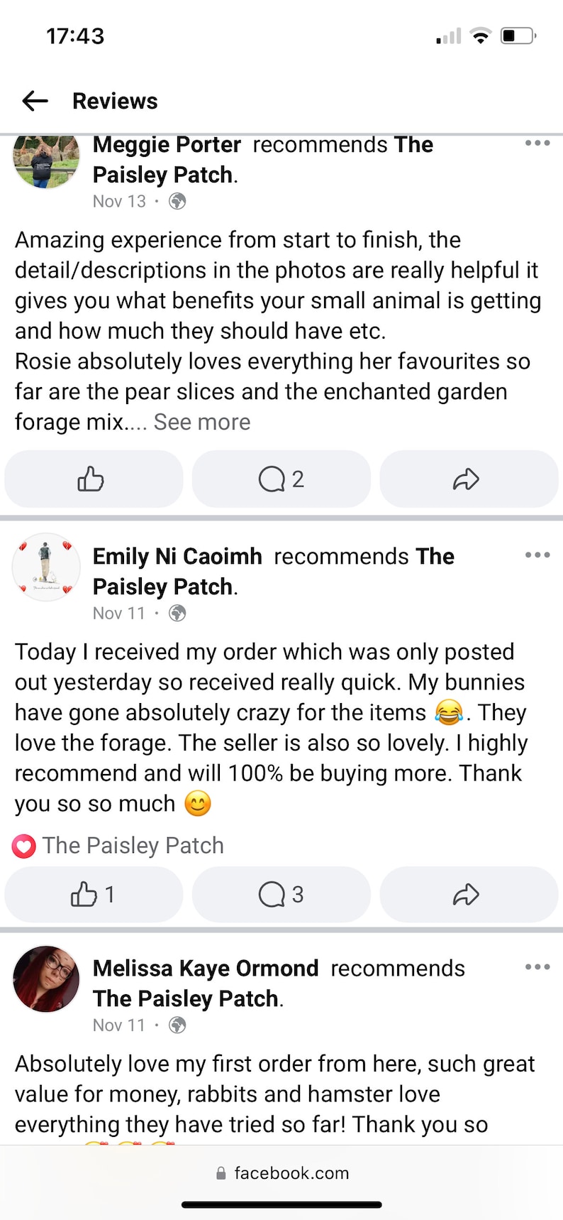 Hamster Forage Box. Dried Forage. Treats for Hamsters. Forage Mix ...