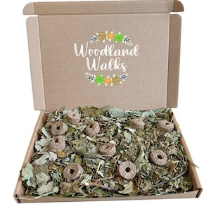 Woodland Walks Forage Box. Dried Forage.rabbit Forage Mix - Etsy UK