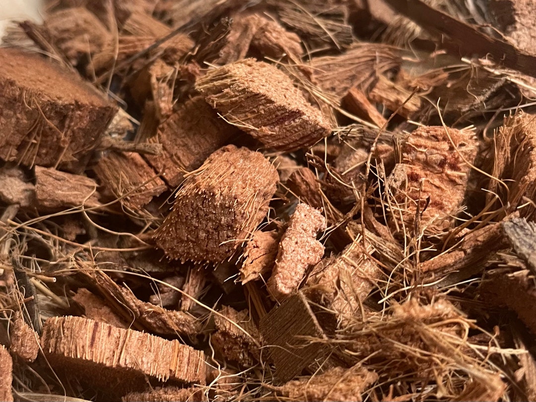 Coconut Husk Substrate. Hamster Enclosure, Hamster Bedding, Hamster ...