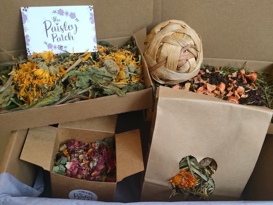 Sunshine Bundle Box. Rabbit Forage Boxes.mixed Forage and - Etsy UK