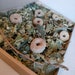 Woodland Walks Forage Box. Dried Forage.rabbit Forage Mix - Etsy UK