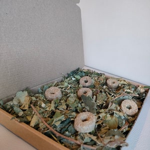 Woodland Walks Forage Box. Dried Forage.rabbit Forage Mix - Etsy UK