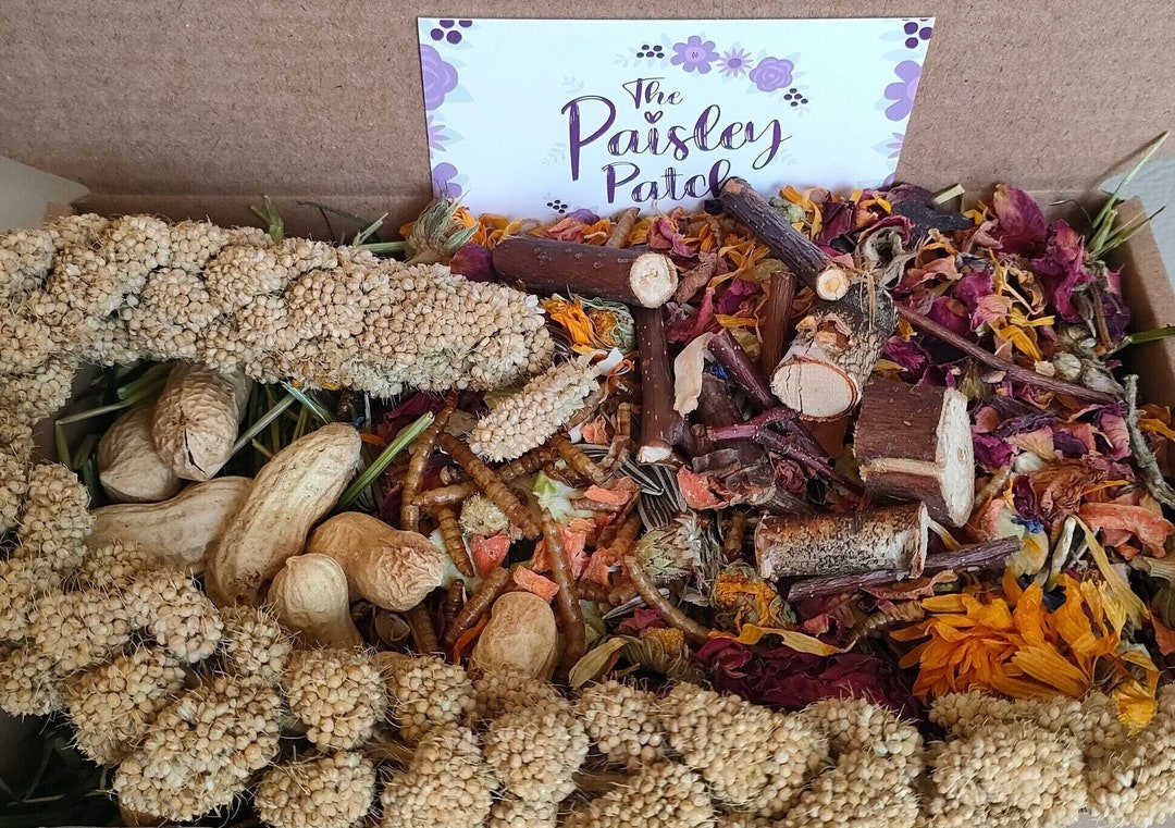 Hamster Forage Box. Dried Forage. Treats for Hamsters. Forage Mix ...