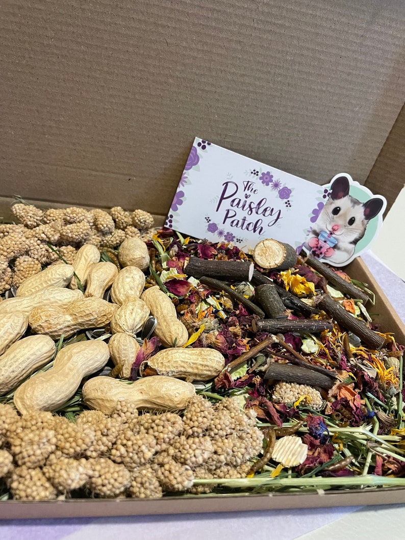 Hamster Forage Box. Dried Forage. Treats for Hamsters. Forage Mix ...