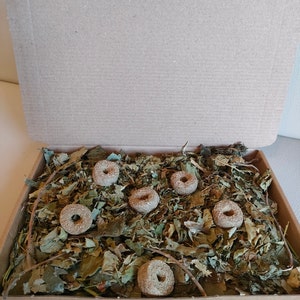 Woodland Walks Forage Box. Dried Forage.rabbit Forage Mix - Etsy UK