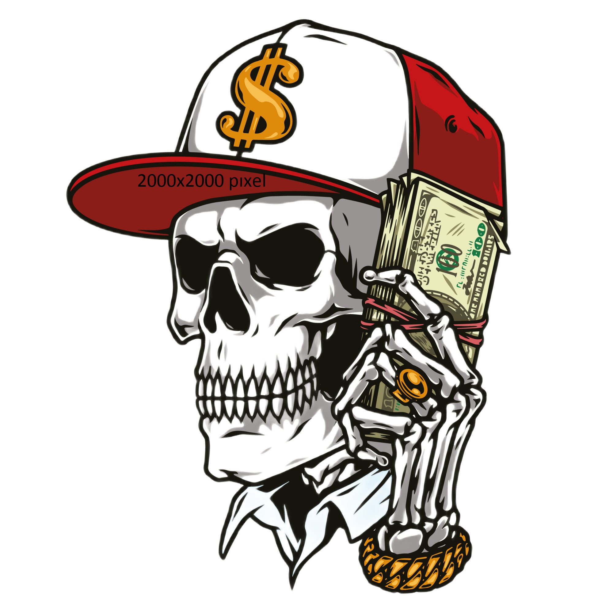 Colorful Skull in Baseball Cap, PNG Fİle,isolated Dollar,skull Holding ...