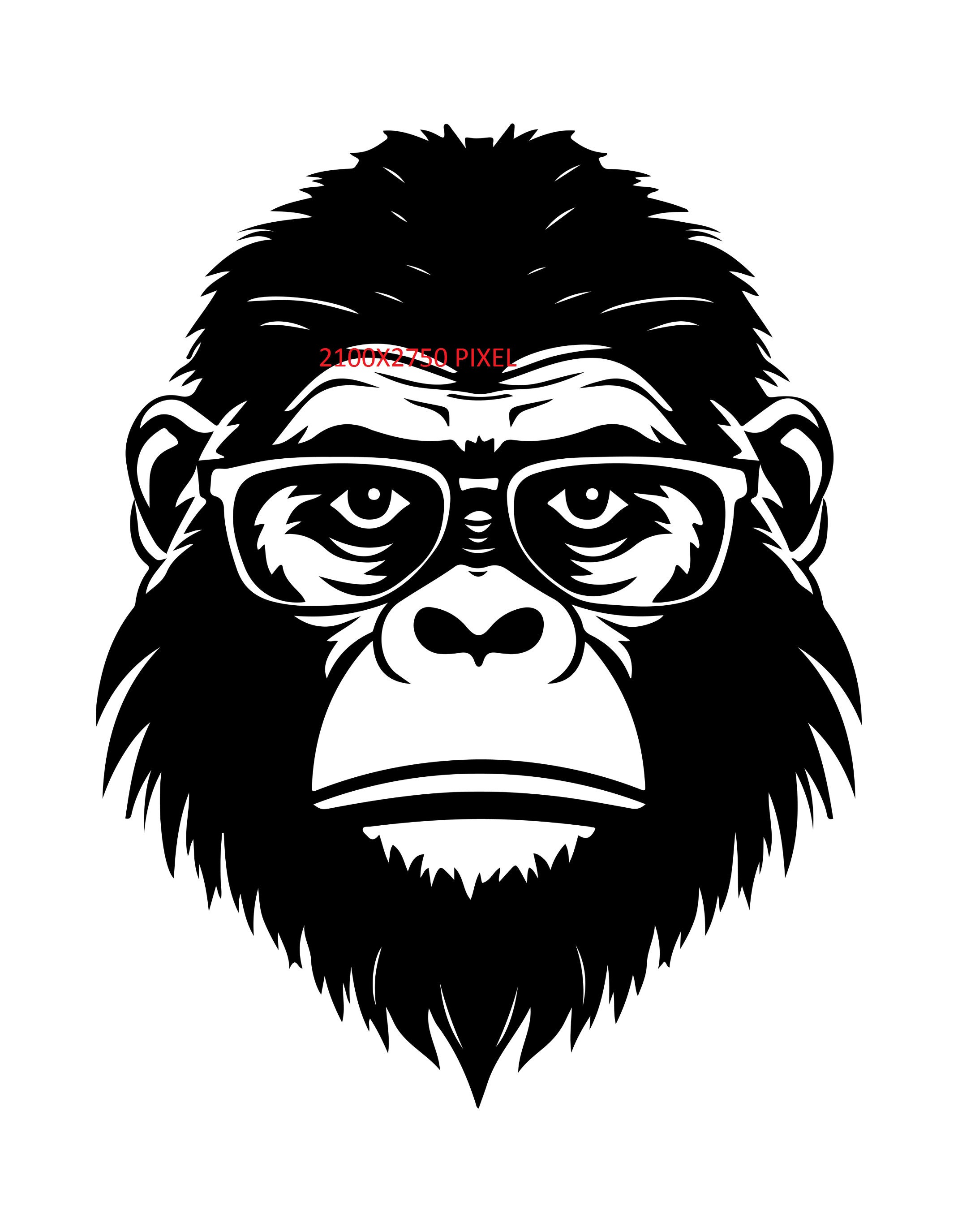 Monkey Package,4 Png Files,monkey With Glasses,monkey in Pilot Hat ...