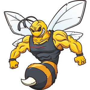 Cute Bees Bundle,9 Png File,honey Bee,honey Bearing Bee,queen Bee ...