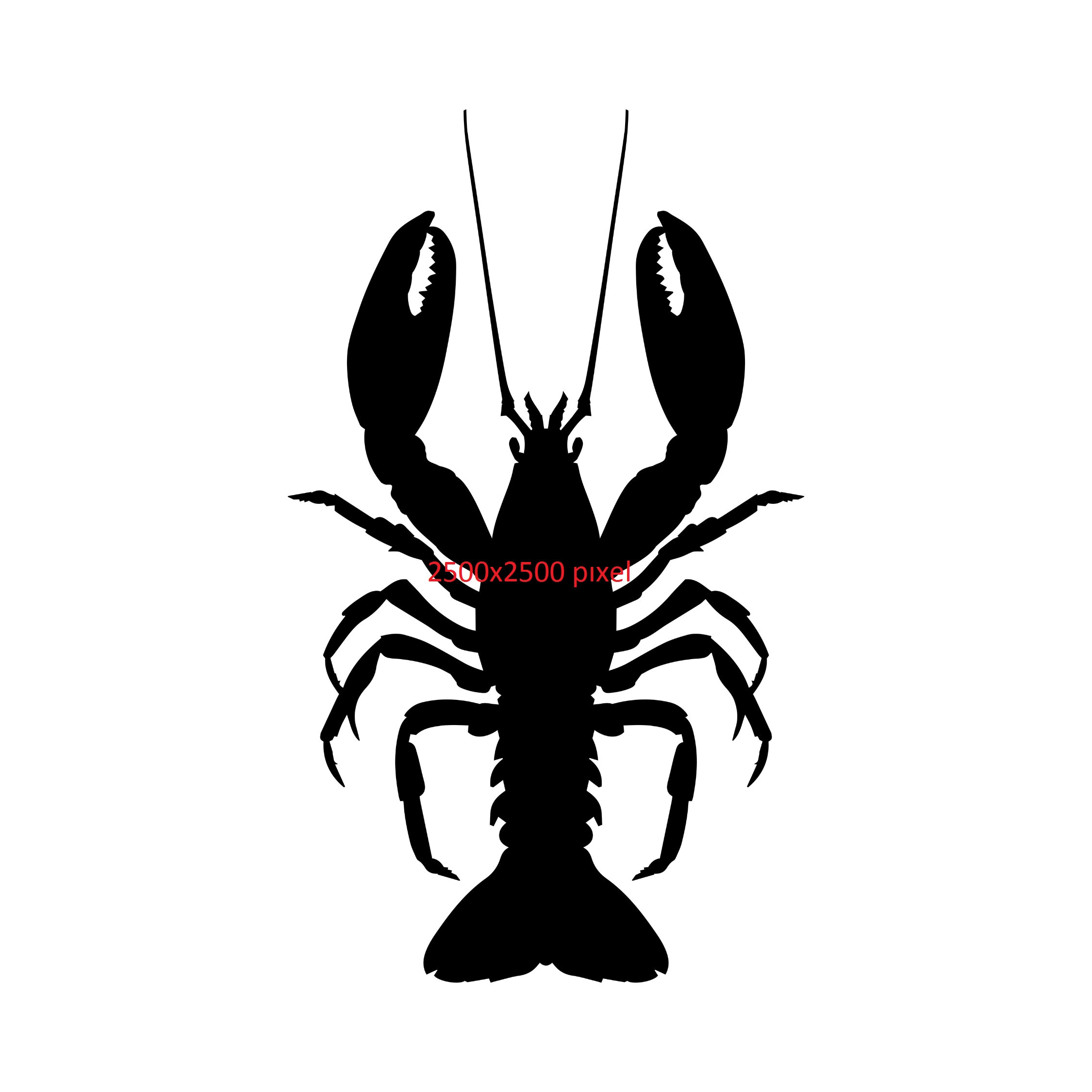 Red Crawfish Png,black Crayfish 2 Png,crawfish Boil Png,mardi Gras ...