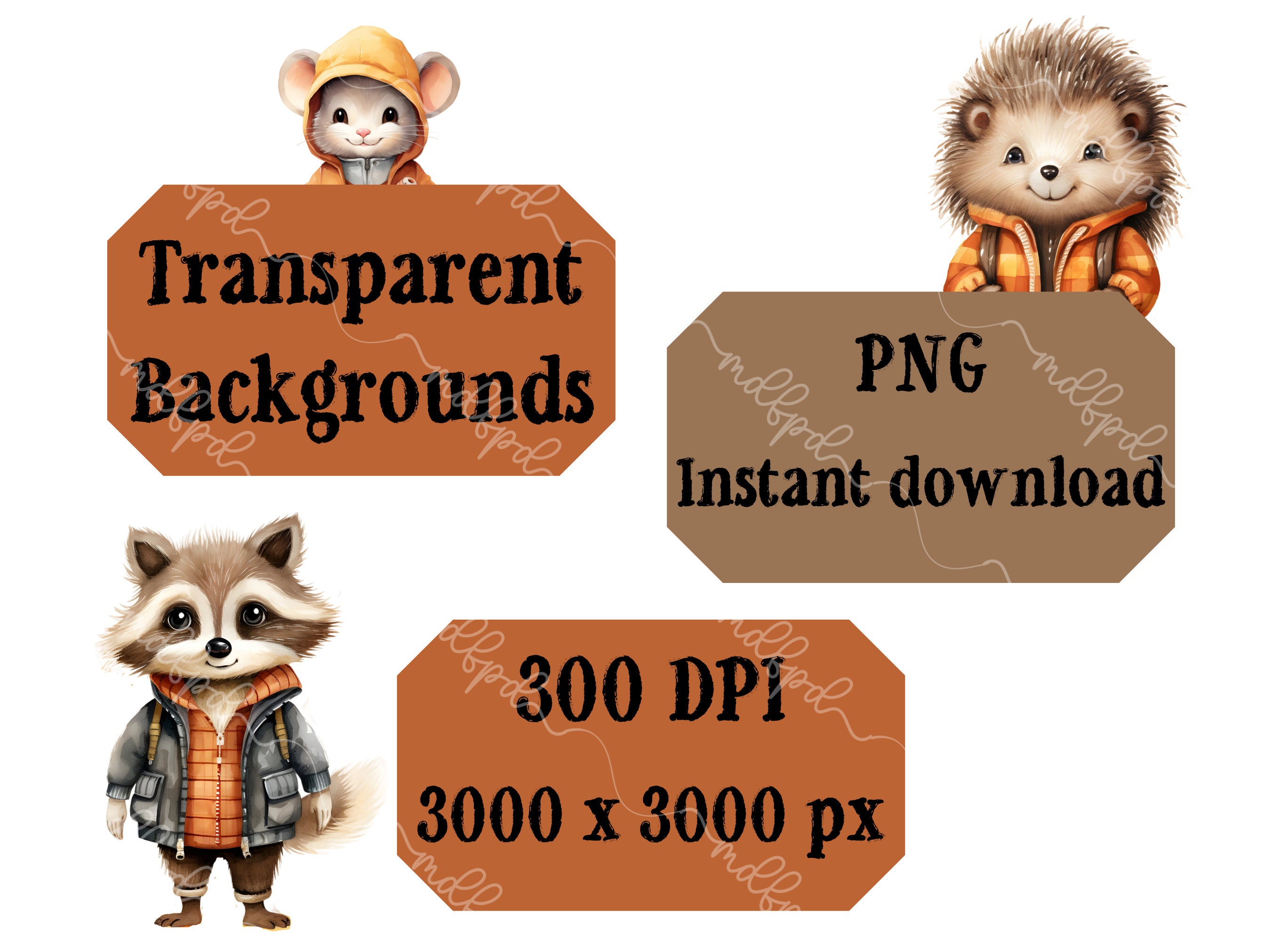 Woodland Animals Clipart: Watercolor Forest Friends (PNG Digital ...