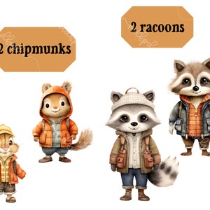 Woodland Animals Clipart: Watercolor Forest Friends (PNG Digital ...