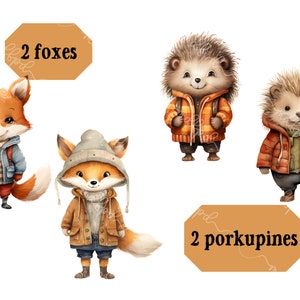 Woodland Animals Clipart: Watercolor Forest Friends (PNG Digital ...