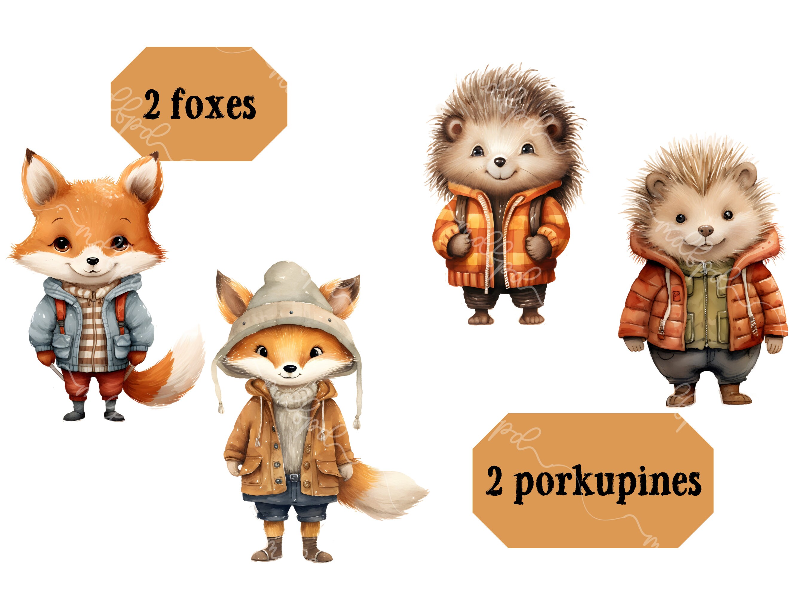 Woodland Animals Clipart: Watercolor Forest Friends (PNG Digital ...