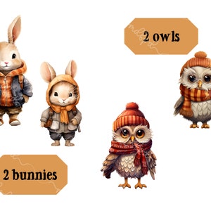 Fall Forest Animals Clipart: Woodland Friends PNG (digital Download) - Etsy