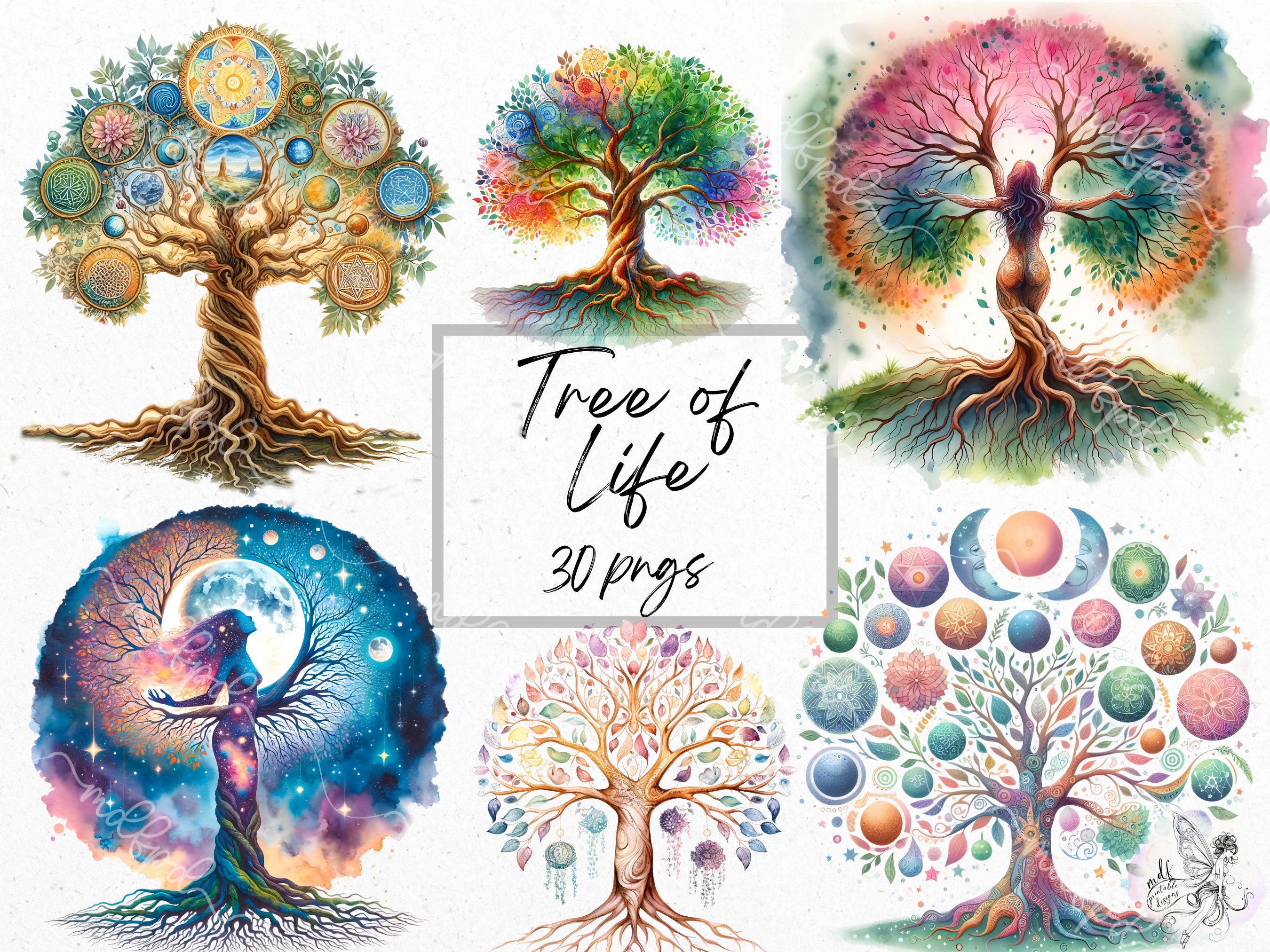 Tree of Life Clip Art: 30 PNG Illustrations (digital Download) - Etsy