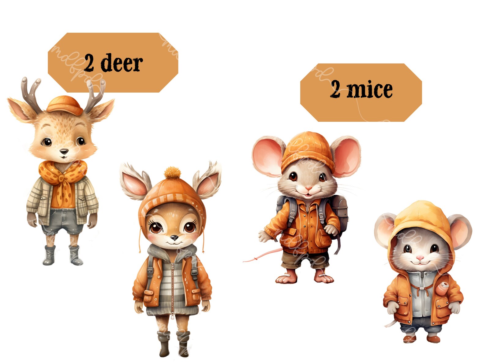 Woodland Animals Clipart: Watercolor Forest Friends (PNG Digital ...