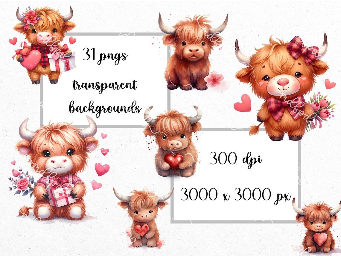 Valentine Highland Cows: Valentine Highland Cow Clip Art, Valentine ...