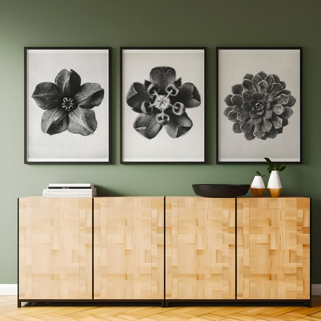 Karl Blossfeldt Wall Art Set of 3 Prints, Gallery Wall Set, Urformen ...